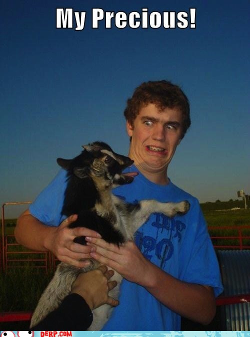 Derp - goat - Derp Face Derps - hurr durr derp face - derp - Cheezburger