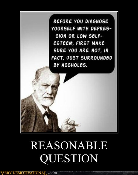 REASONABLE QUESTION - Very Demotivational - Demotivational Posters ...