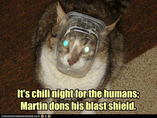 It's chili night for the humans; - I Can Has Cheezburger?