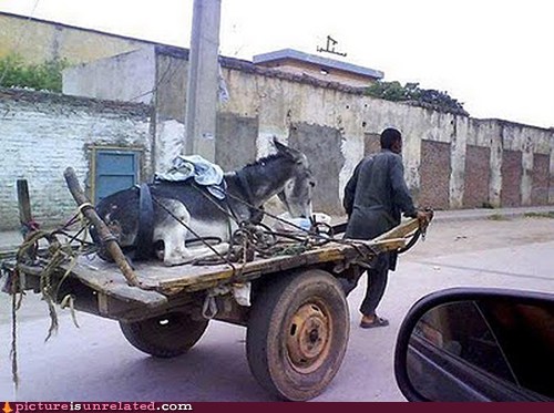 Well, This Is Backwards - Picture Is Unrelated - Funny Picture | Funny ...