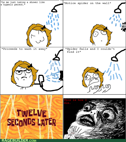Rage Comics - spider - Rage Comics - rage comics - Cheezburger