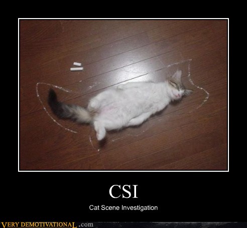 CSI - Very Demotivational - Demotivational Posters | Very ...