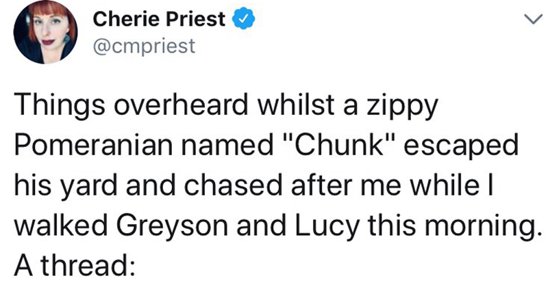 Woman Details Twitter Dog Saga - Memebase - Funny Memes