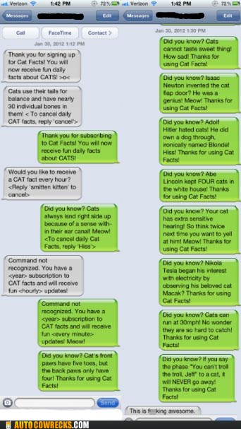 Autocowrecks - cat facts - Funny Auto-correct Fails - Funny Collection ...