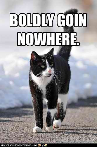 BOLDLY GOIN - I Can Has Cheezburger?