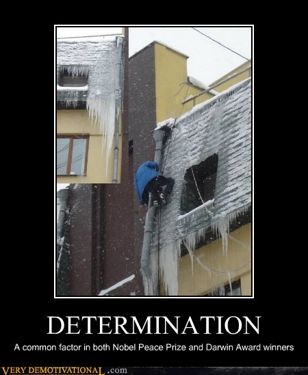 Very Demotivational - determination - Very Demotivational Posters ...