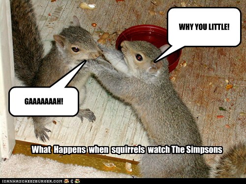 They're Especially Impressionable - I Can Has Cheezburger?