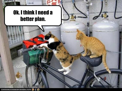 Lolcats - bike - LOL at Funny Cat Memes - Funny cat pictures with words ...