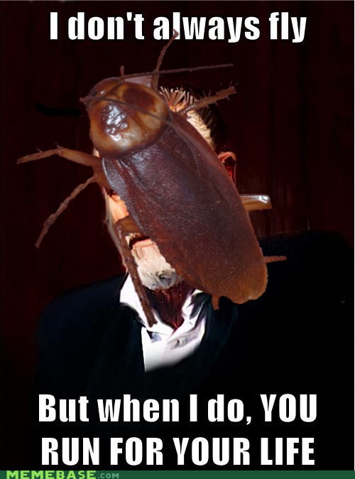 Memebase - fly - Page 6 - All Your Memes In Our Base - Funny Memes ...