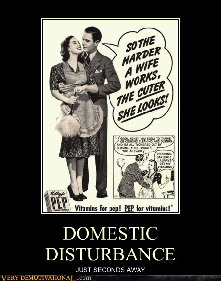 DOMESTIC DISTURBANCE - Very Demotivational - Demotivational Posters ...