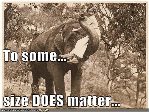 Sure Does to Me! - Animal Comedy - Animal Comedy, funny animals, animal ...