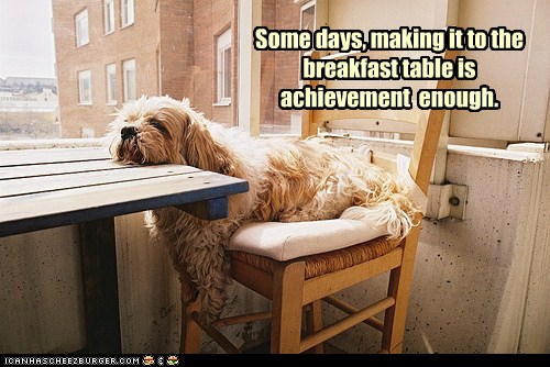 Some days, - I Has A Hotdog - Dog Pictures - Funny pictures of dogs ...