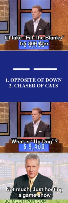 Puns - troll - Funny Puns - Pun Pictures - Cheezburger