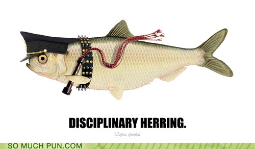 Puns - double meaning - Funny Puns - Pun Pictures - Cheezburger