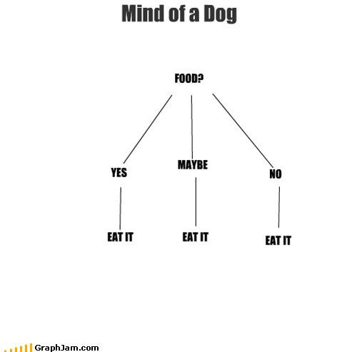 GraphJam - edible - funny graphs - Cheezburger