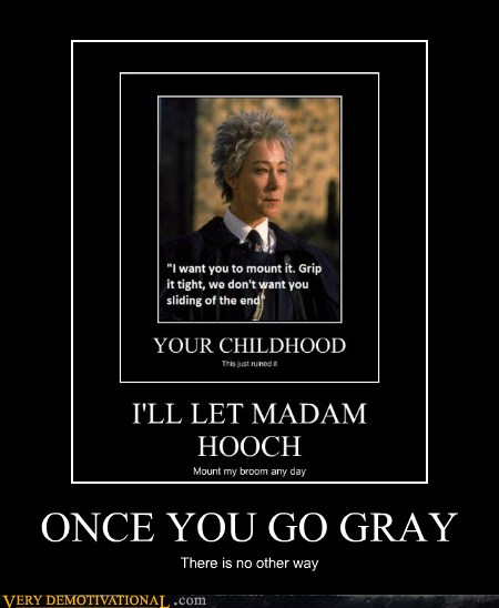 ONCE YOU GO GRAY - Very Demotivational - Demotivational Posters | Very ...