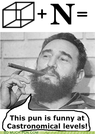 Puns - cube - Funny Puns - Pun Pictures - Cheezburger