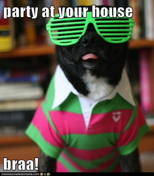 party - I Has A Hotdog - Dog Pictures - Funny pictures of dogs - Dog ...