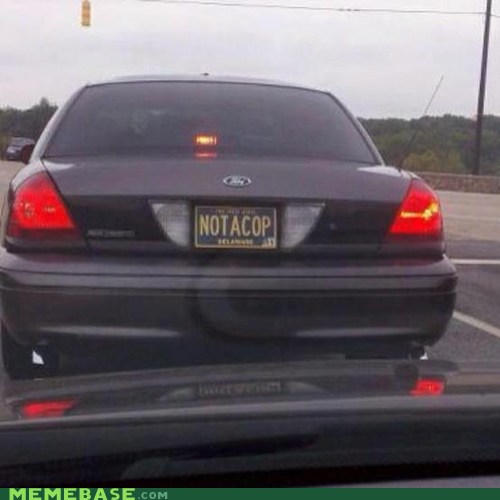 Art of Trolling - license plate - Troll Tricks and Pranks - Trolling ...