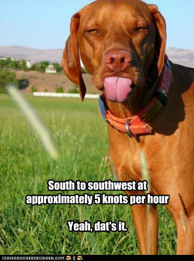 South to southwest - I Has A Hotdog - Dog Pictures - Funny pictures of ...