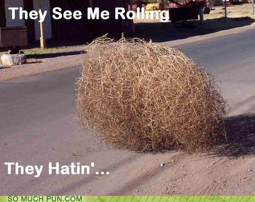 Puns - see - Funny Puns - Pun Pictures - Cheezburger