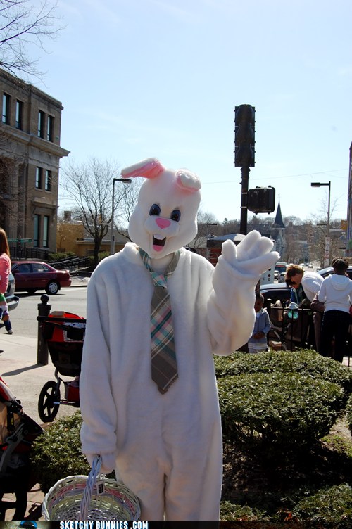 Professional Bunny is Professional - Easter - sketchy bunnies