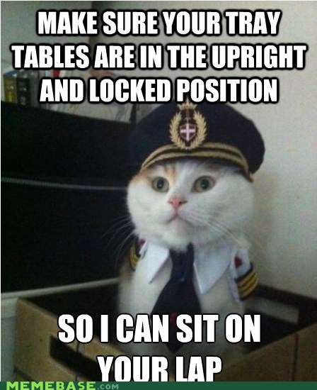 Captain Kitteh: Fasten Your Me - Memebase - Funny Memes