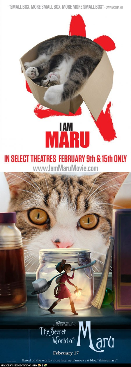 Bonus Maru at The Oscars: "I Am Bruce Lee" and "The Secret World of ...