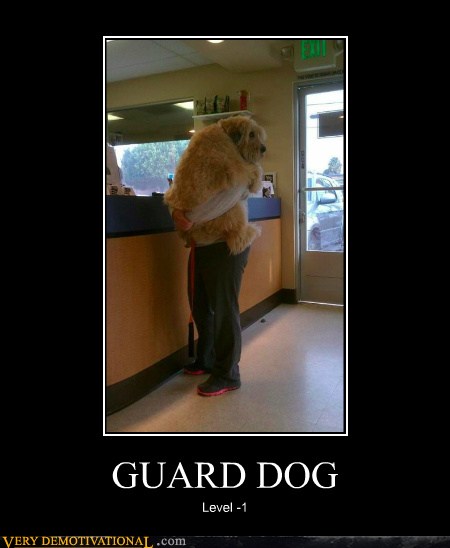 GUARD DOG - Very Demotivational - Demotivational Posters | Very ...