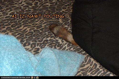NAWT POUTING. - Lolcats - lol | cat memes | funny cats | funny cat ...