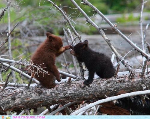 I'll Be Your Booper - Daily Squee - Cute Animals - Cute Baby Animals ...