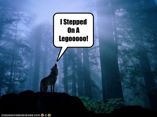 Even Animals in the Wild Know How Painful That Is - Animal Comedy ...