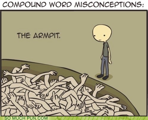 Compound Words Are Tricky Sometimes - Puns - Pun Pictures