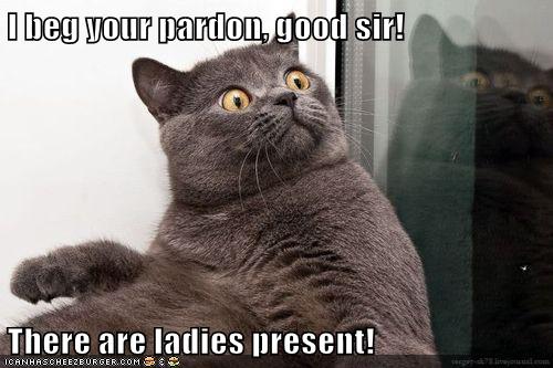Lolcats - rude - LOL at Funny Cat Memes - Funny cat pictures with words ...