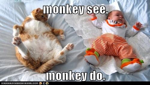 Monkey see, monkey do. - Lolcats - lol | cat memes | funny cats | funny ...