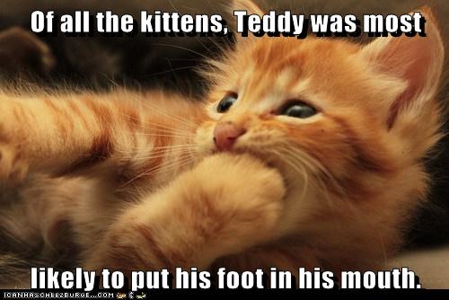 Lolcats Idiom Lol At Funny Cat Memes Funny Cat Pictures With