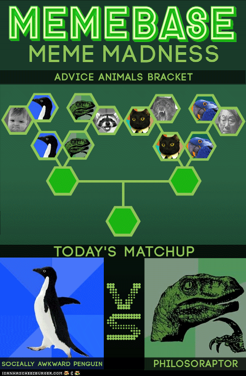 Meme Madness Semi-Finals: Socially Awkward Penguin vs. Philosoraptor ...