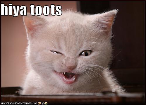 hiya toots - Cheezburger - Funny Memes | Funny Pictures