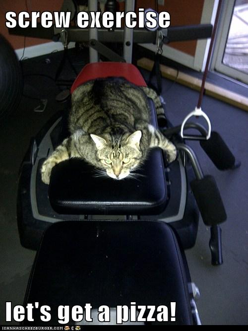 Workout Cat Memes