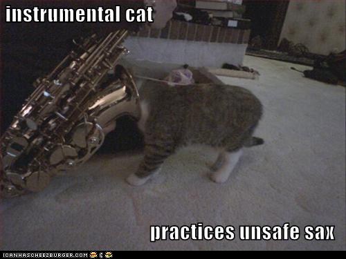 Classic Lolcat - Lolcats - lol | cat memes | funny cats | funny cat ...