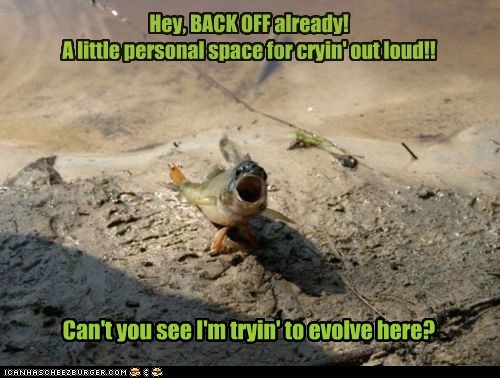 You Call Them Legs, I Call Them Fish Sticks - Animal Comedy - Animal ...