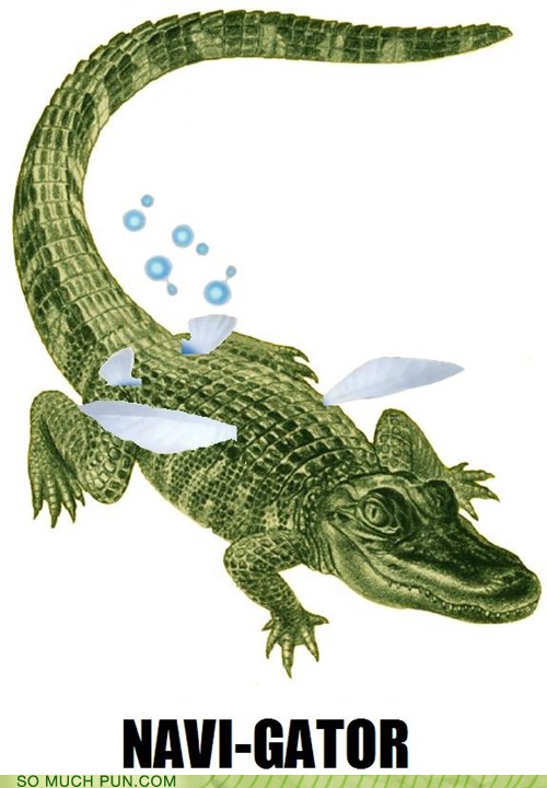 Puns - prefix - Funny Puns - Pun Pictures - Cheezburger