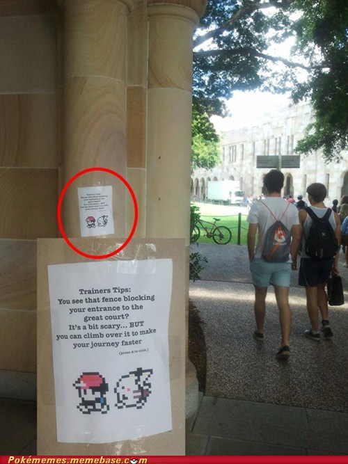 Trainer Tip IRL - Pokémemes - Pokémon, Pokémon GO