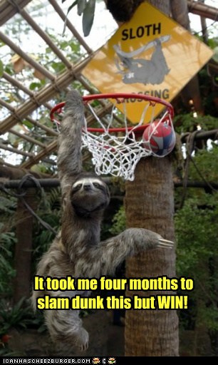 I Can Has Cheezburger? - sloth - Page 10 - Funny Animals Online ...