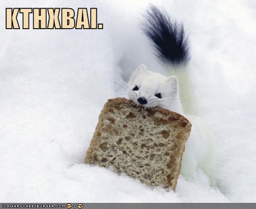 I Can Has Cheezburger? - kthxbai - Funny Animals Online - Cheezburger