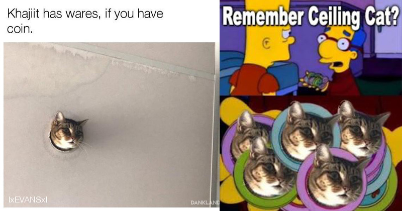 There's A New Ceiling Cat In Town And It's Reviving Some Excellent OG ...