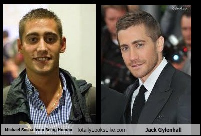Totally Looks Like - jake gyllenhaal - Cheezburger
