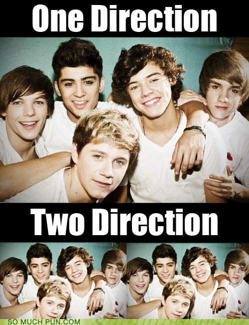 Puns - one direction - Funny Puns - Pun Pictures - Cheezburger