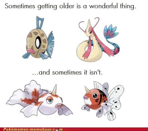 Pokémemes - feebas - Pokemon Memes - Pokémon, Pokémon GO - Cheezburger