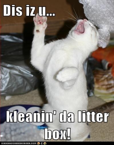 Kleanin' da litter box" - Lolcats - lol | cat memes | funny cats ...